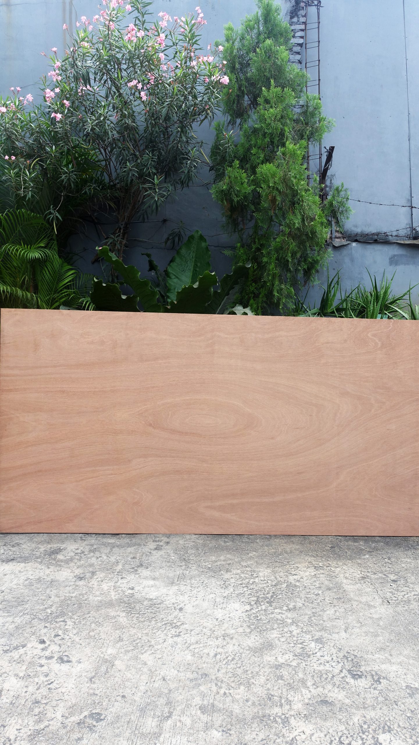 TOS SIGNATURE PLYWOOD - klikCHERA
